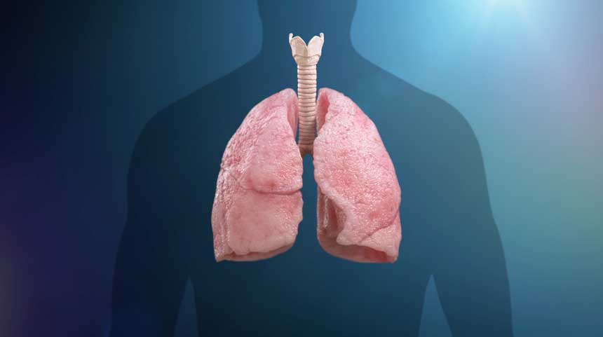 Havas Health & You | Asthma Lungs | Video