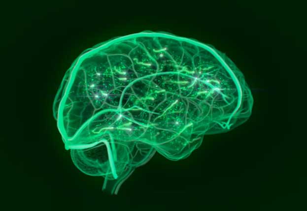 Synchron | Brain Synapses | Video