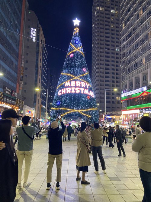 Busan Christmas Trip