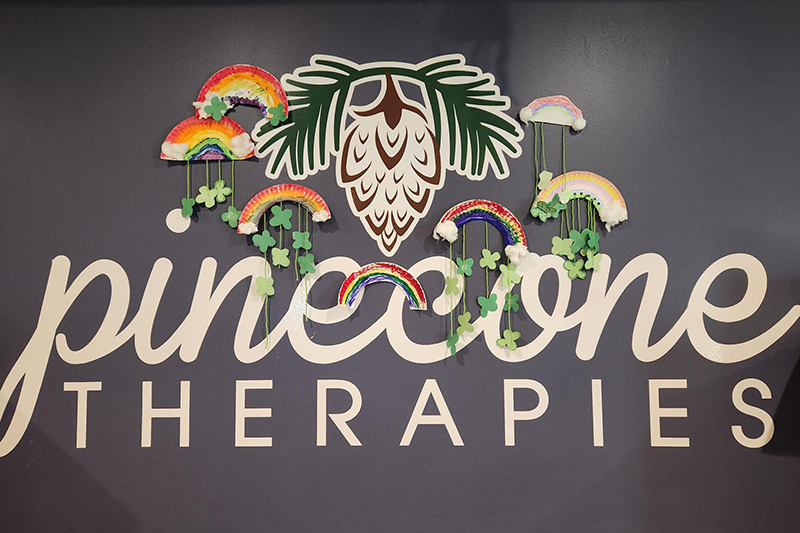 ABA Therapy & Pediatric Therapies in Southlake, TX