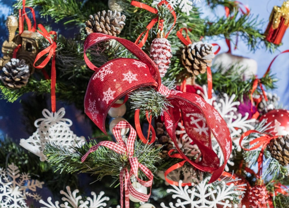 Holiday joy, delivered: Misa Christmas Trees + EasyRoutes — Roundtrip