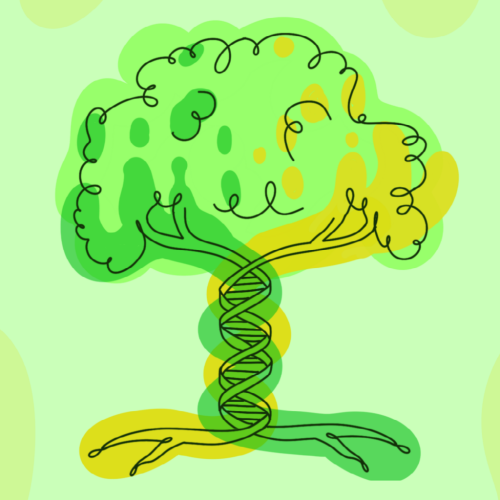 ADHD Treatment Decision Tree
