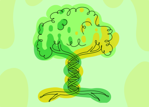 ADHD Evidence Project