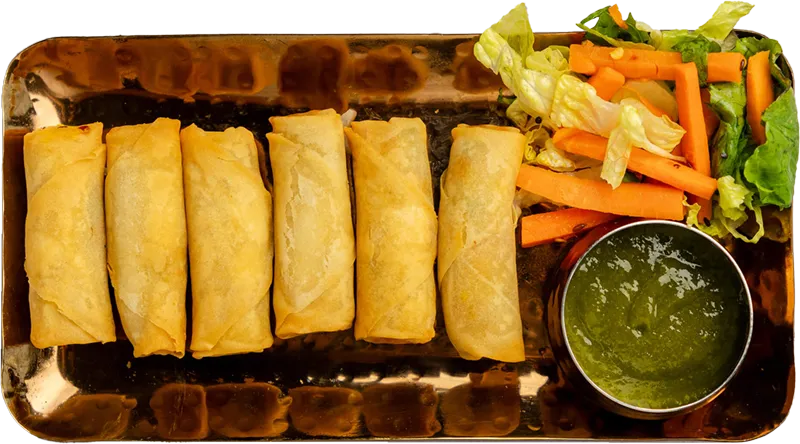 Appetizers - Vegetarian Menu | Sona the Indian Kitchen