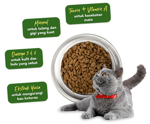 Excel Pet Food, Excel Baik Untuknya
