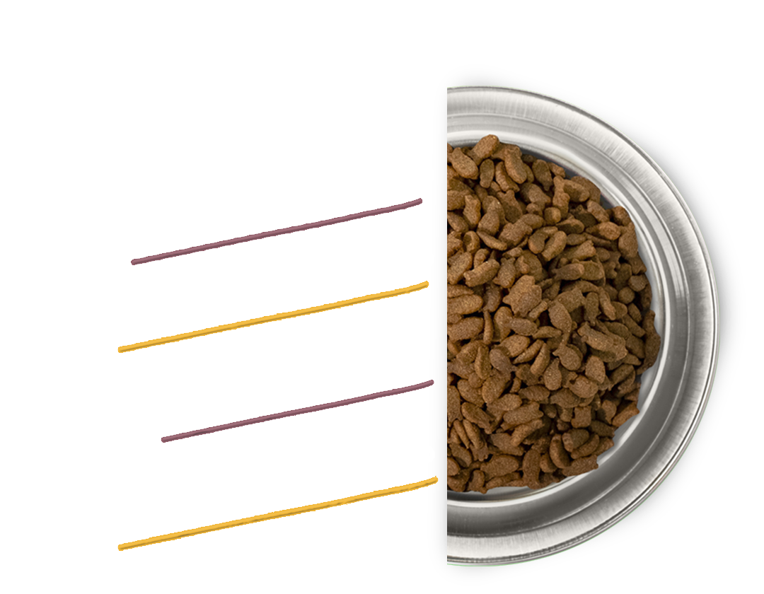 Excel Pet Food, Excel Baik Untuknya