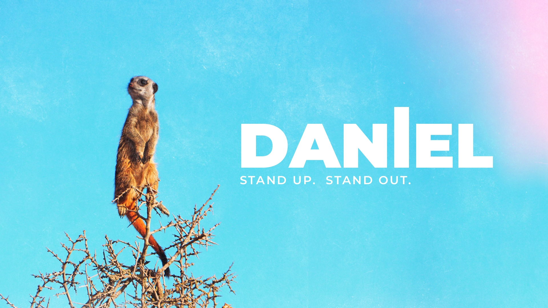 Resources > Series: Daniel | NorthernLife Baptist Church