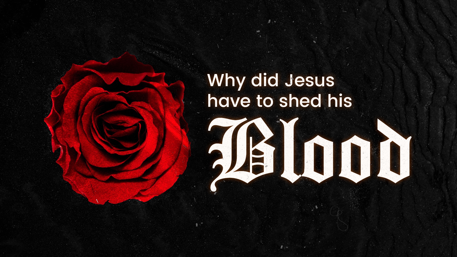 Why Did Jesus Shed His Blood? by Richard Ford | Midweek Training by ...