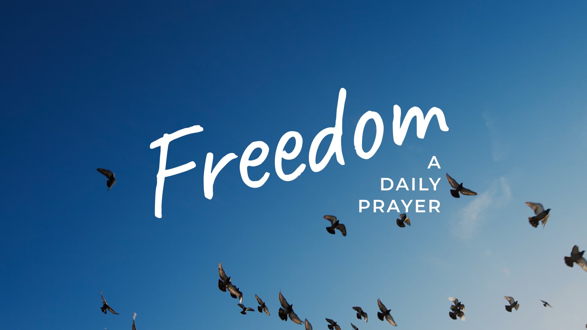 A Daily Prayer for Freedom by Jonathan Shanks | Midweek Training by ...