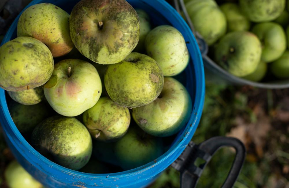 The Pros and Cons of AI in Marketing | Anchor