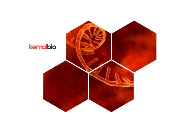 Civilization Ventures