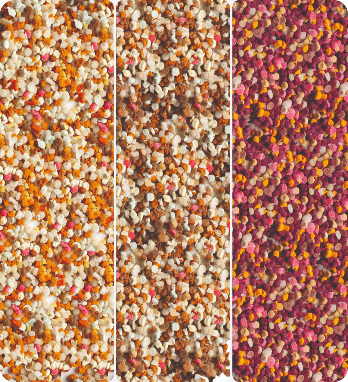 Bioniq GO | Which are the best supplements for you?