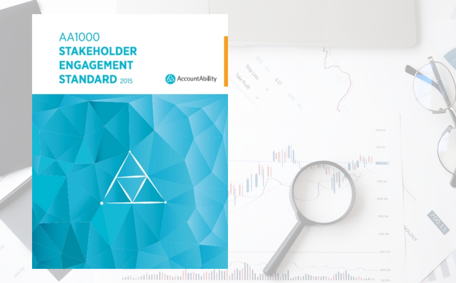 A Practical Overview of the AA1000 Stakeholder Engagement Standard
