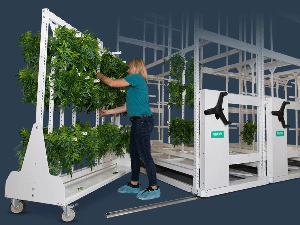 DSS | Storage Solutions for Indoor Agriculture