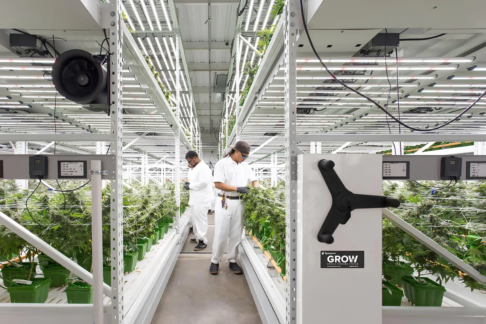 DSS | Storage Solutions for Indoor Agriculture