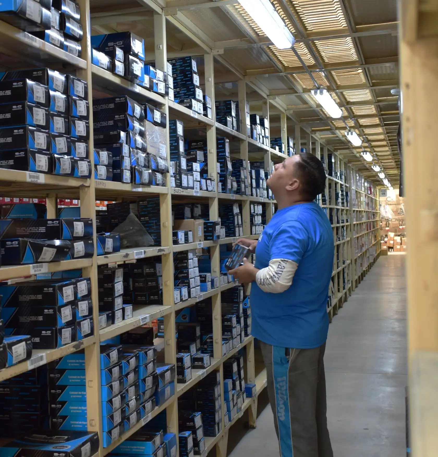 Mayoristas de Refacciones Automotrices en México | Grupo Morsa