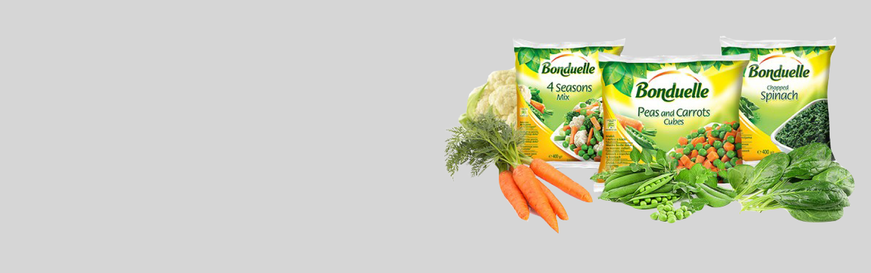 Bonduelle Supply Chain: Deep Dive Into Our Supply Chain Transformation ...