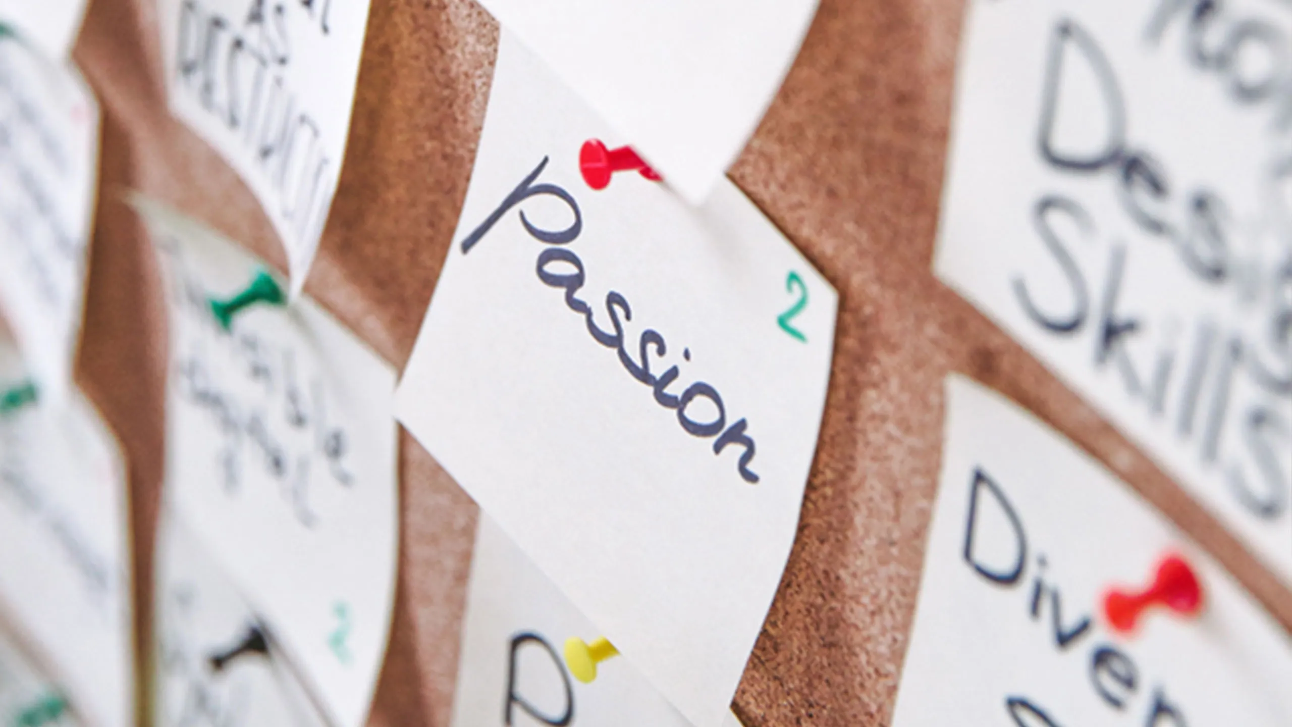 About us - celver AG