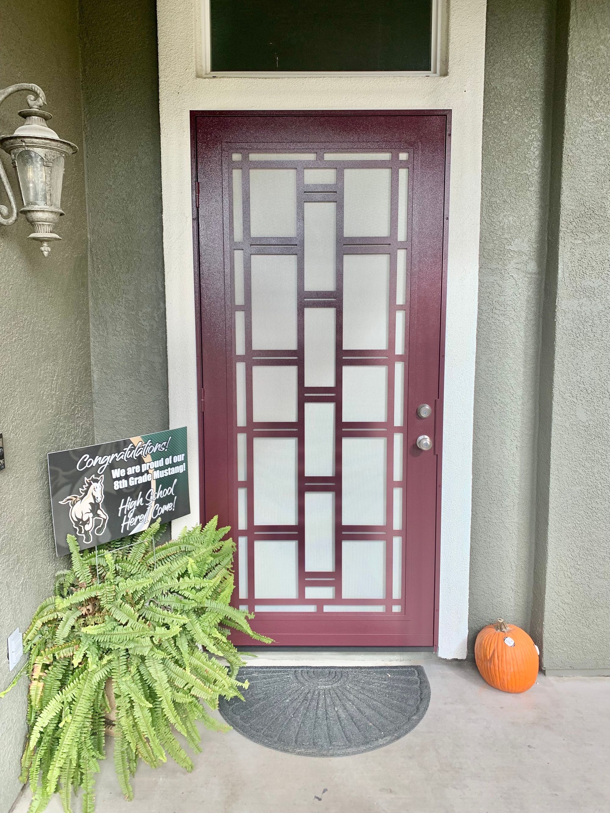 Custom Titan Security Screen Doors | Premium Security Doors