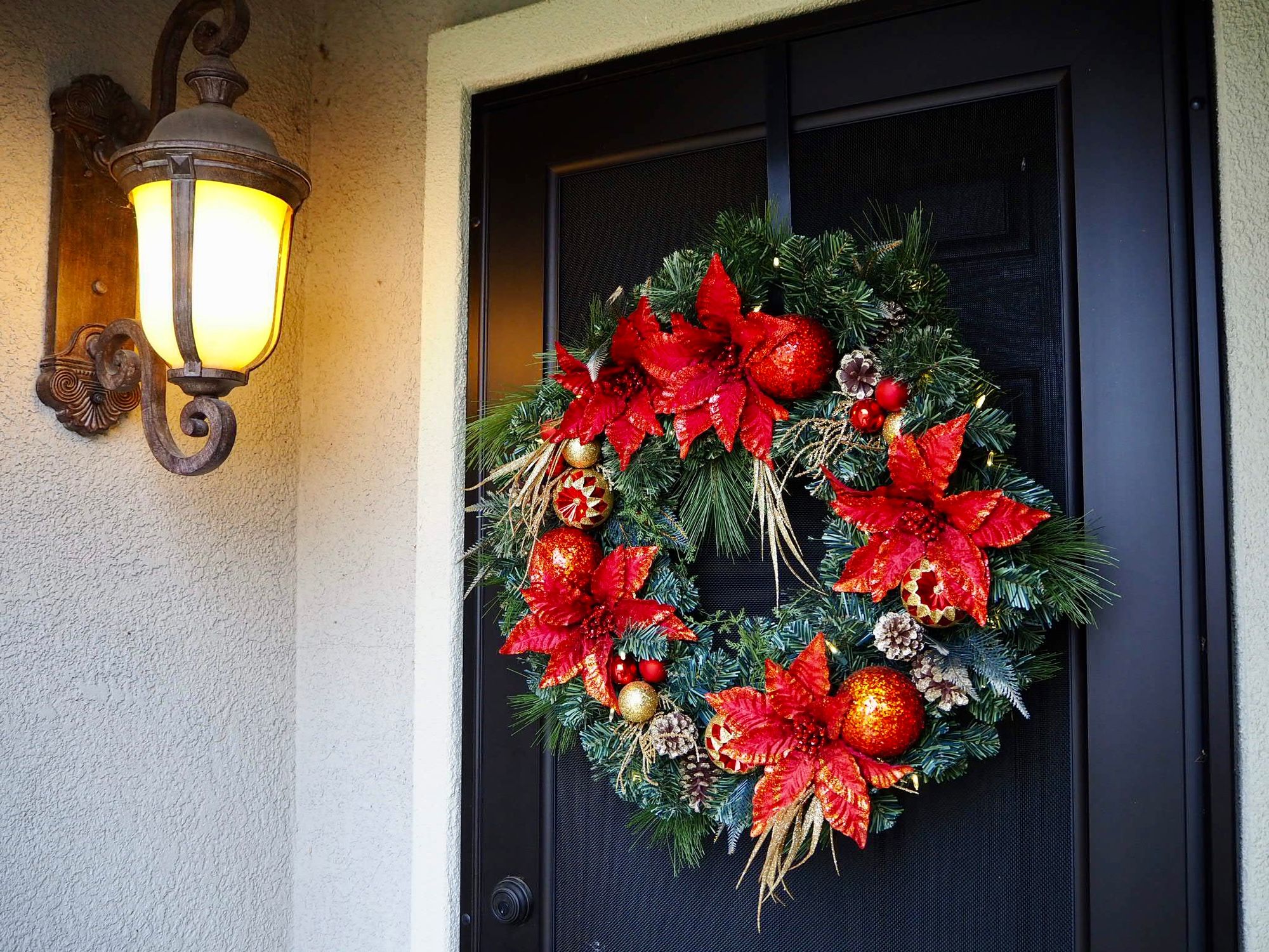 Viewguard Security Screen Door | Airflow & Elegance