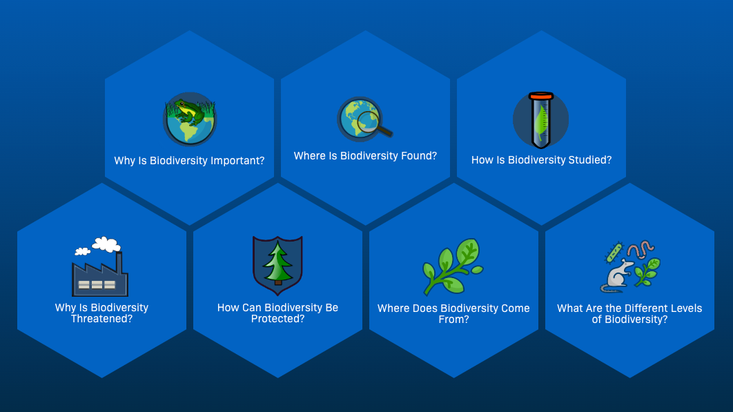 New Biodiversity Cluster from the California Academy of Sciences