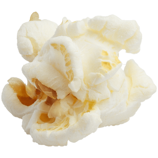 Popcorn - Digital Marketing & PR Agency Vancouver | Popcorn Media