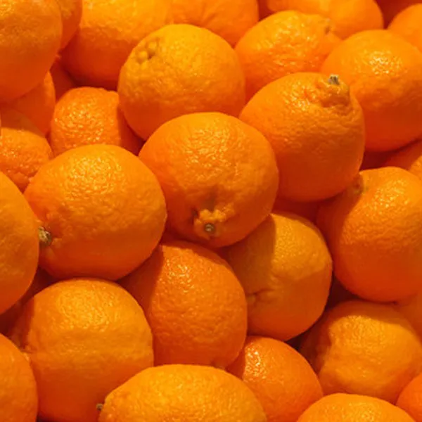 Tree Farm - Trees for Sale in Fort Worth, TX