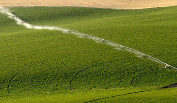 Download Soil Scout Solution Description and Guides