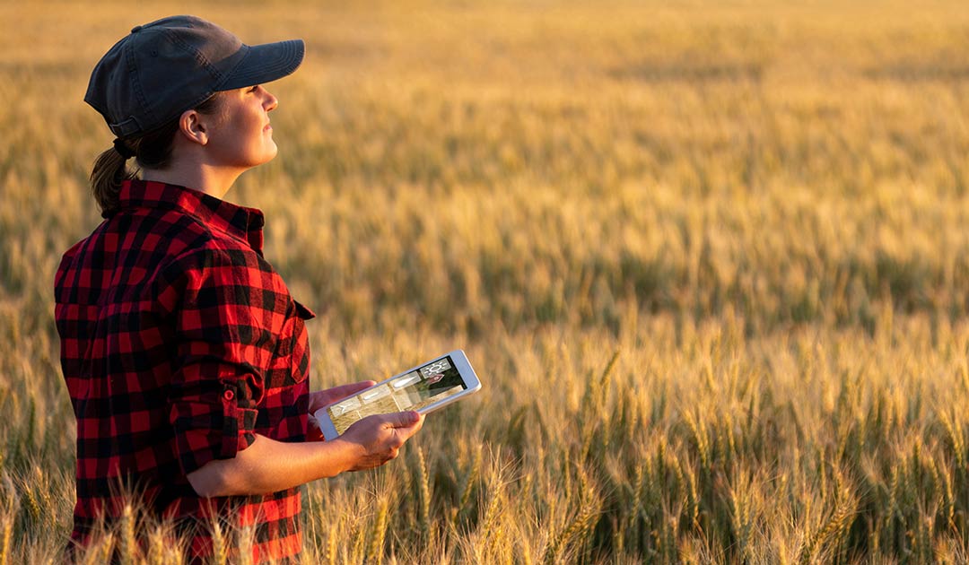 How to Use Wireless Soil Moisture Sensors in Smart Farming