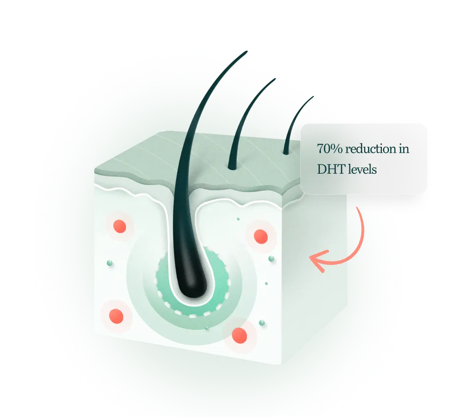 Hair Loss Tablets | Men's Hair Regrowth Treatment | MANUAL