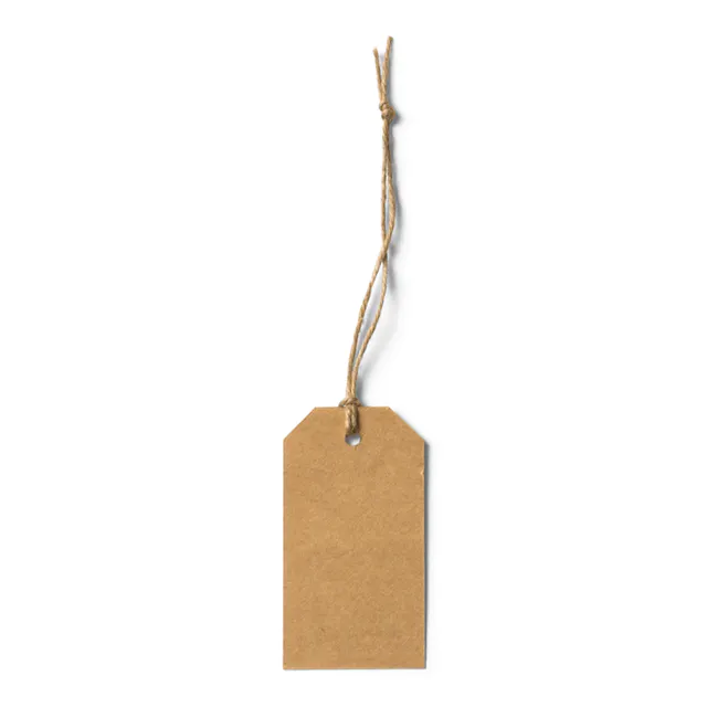 Drawstring Kraft Luggage Label Tag Mockup