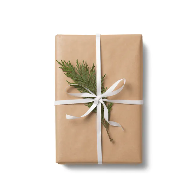 Kraft Gift Package Mockup