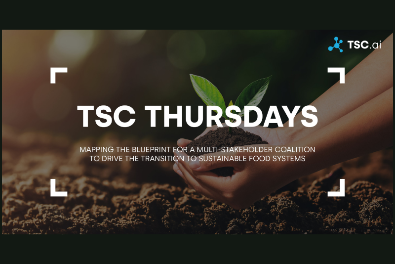 TSC.ai | Blog Post | TSC Thursdays - Mapping the Blueprint for a Multi ...