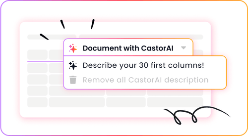Automated Data Catalog Software - CastorDoc
