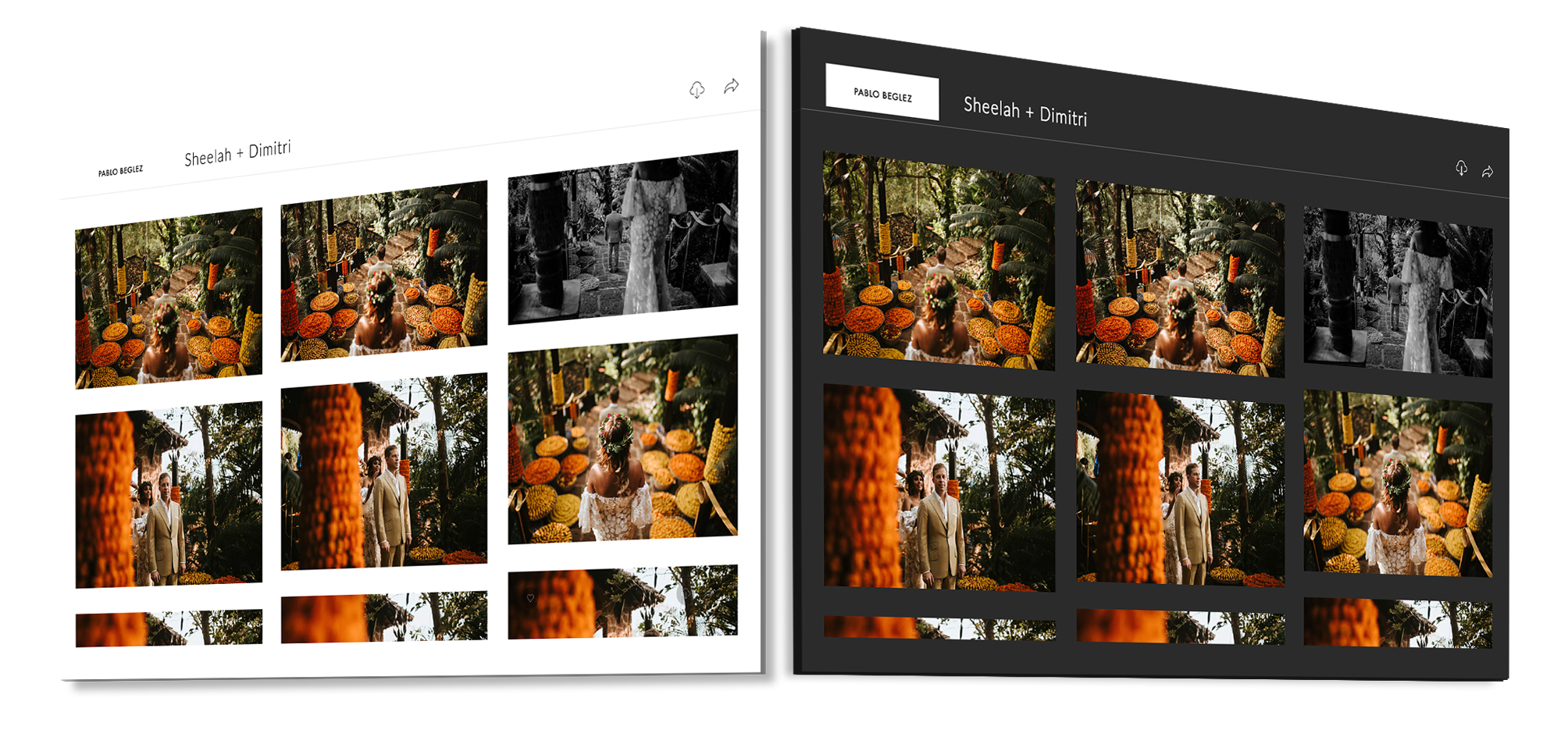 Cloudspot - Dark Mode for Client Galleries: New on CloudSpot! - CloudSpot Blog
