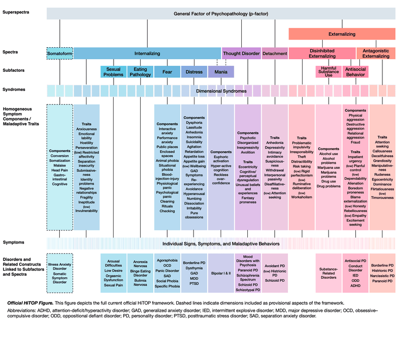 The Hierarchical Taxonomy Of Psychopathology (HiTOP)