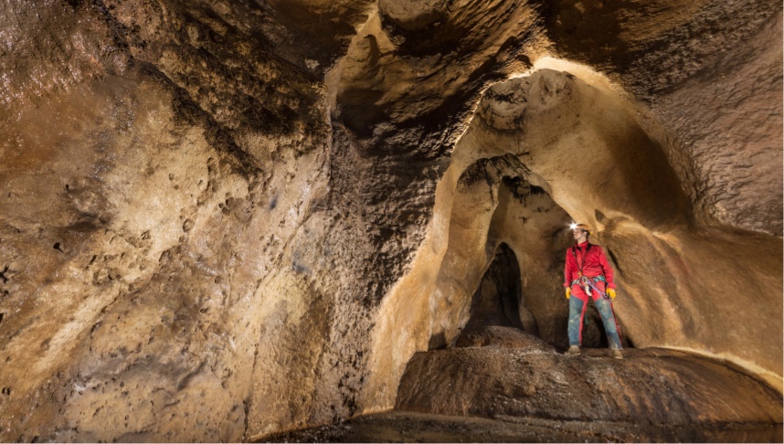 Features | Koala 360