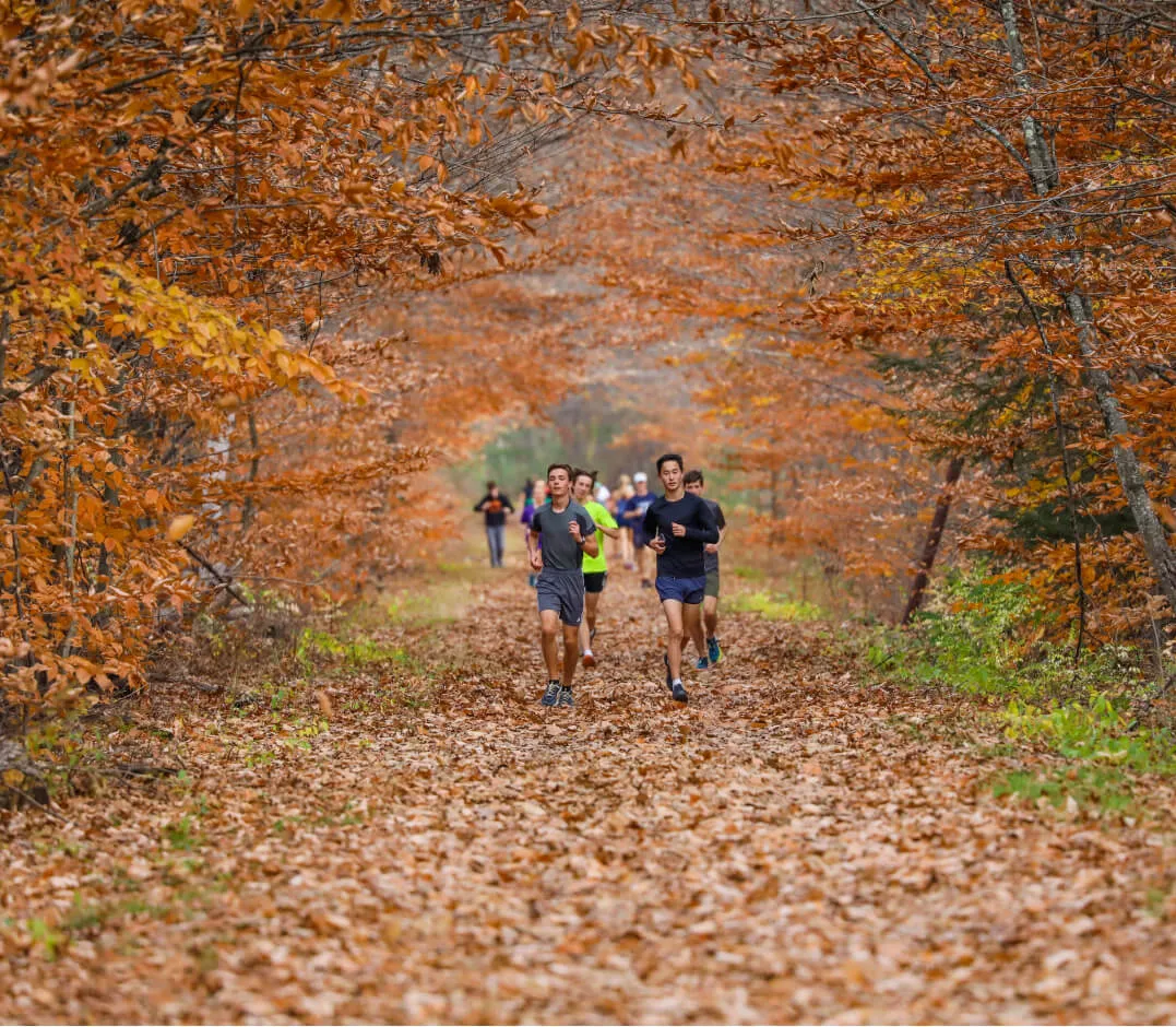 Understanding the Private School Application Process