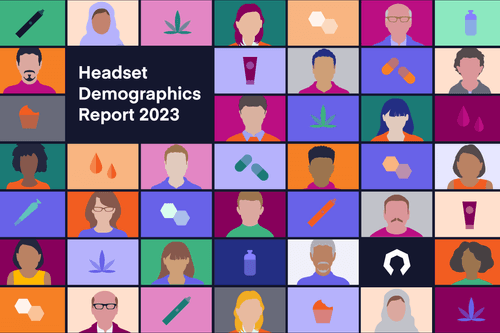 Demographics Report 2023