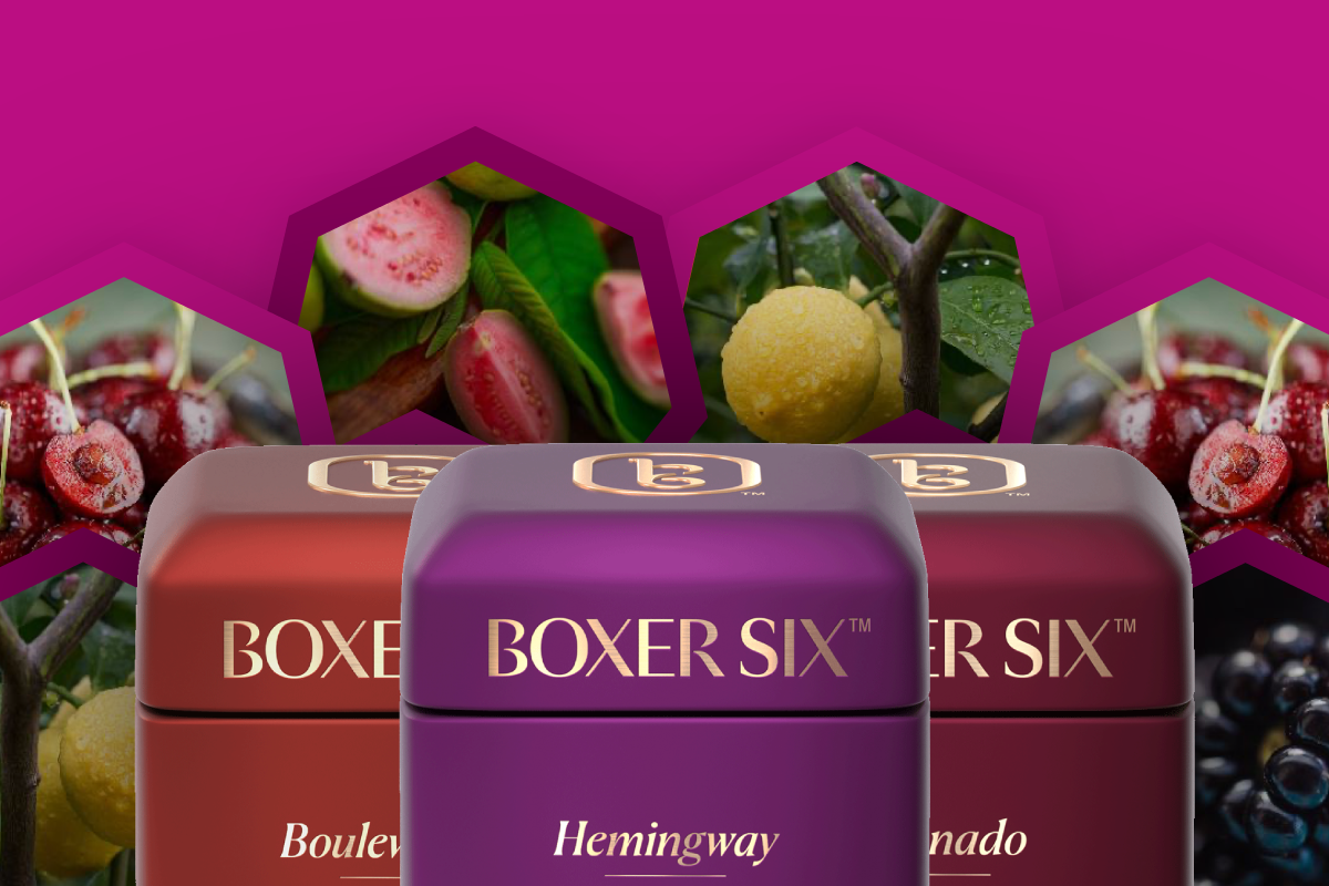 Boxer Six, elevating edibles through precision engineering and market ...