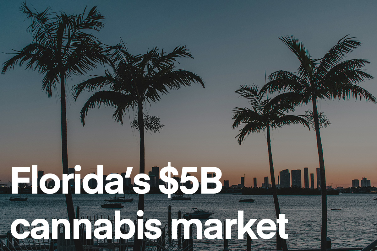 Florida's Cannabis Market Set to Explode with Adult-Use Legalization ...
