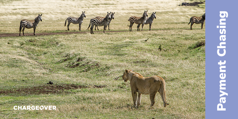 10 Ways to Escaping the Payment Chase for Digital Marketers