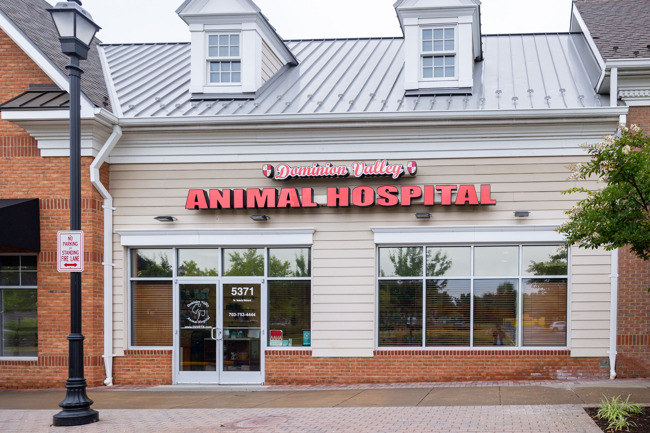 High-Quality Vet Hospital in Haymarket, VA | Dominion Valley Animal ...