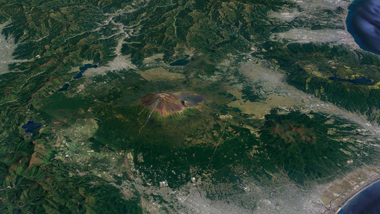 Case Study: CBRN risk assessment for a major newspaper