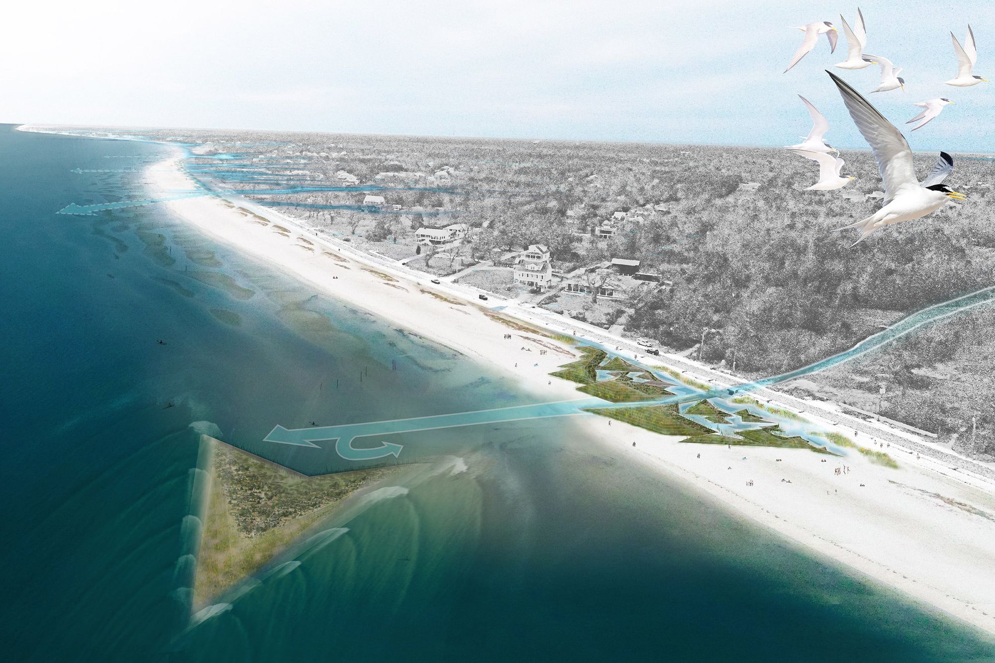 Local – Our Builds