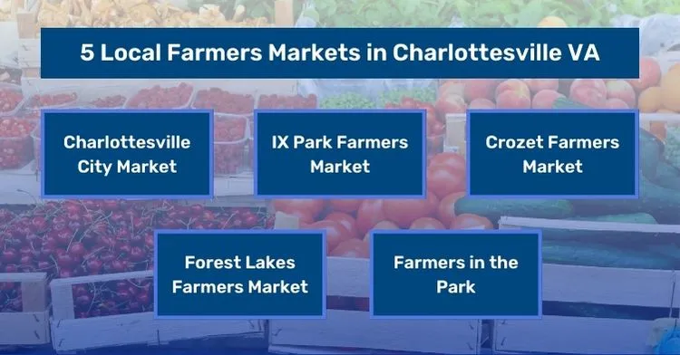 Moving to Charlottesville, VA? Here's a Local's Guide