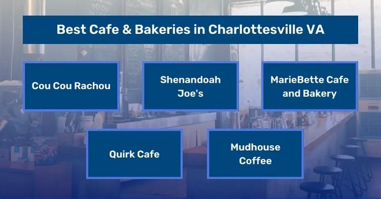 Moving to Charlottesville, VA? Here's a Local's Guide