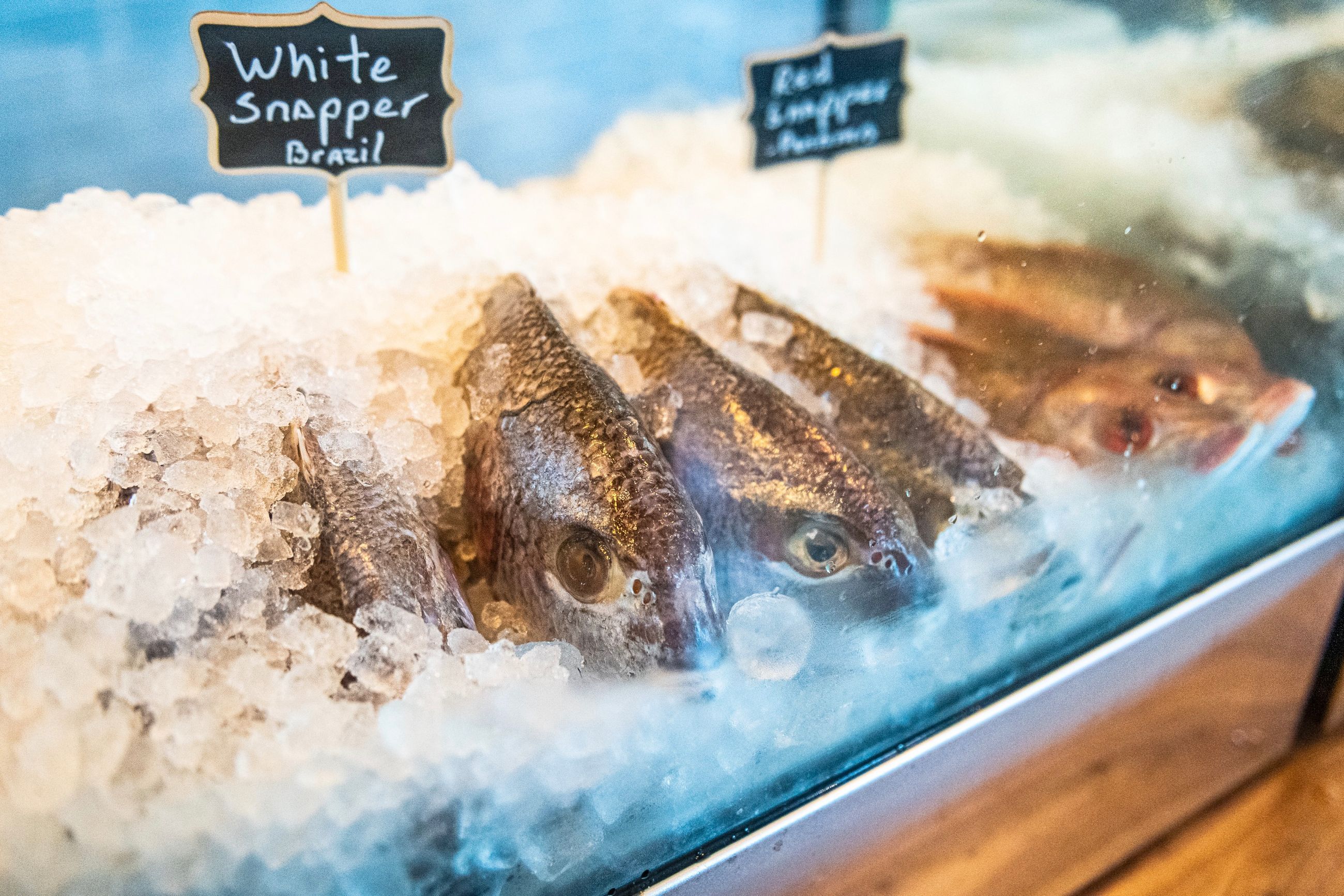 Reserve Causa | Causa + Amazonia