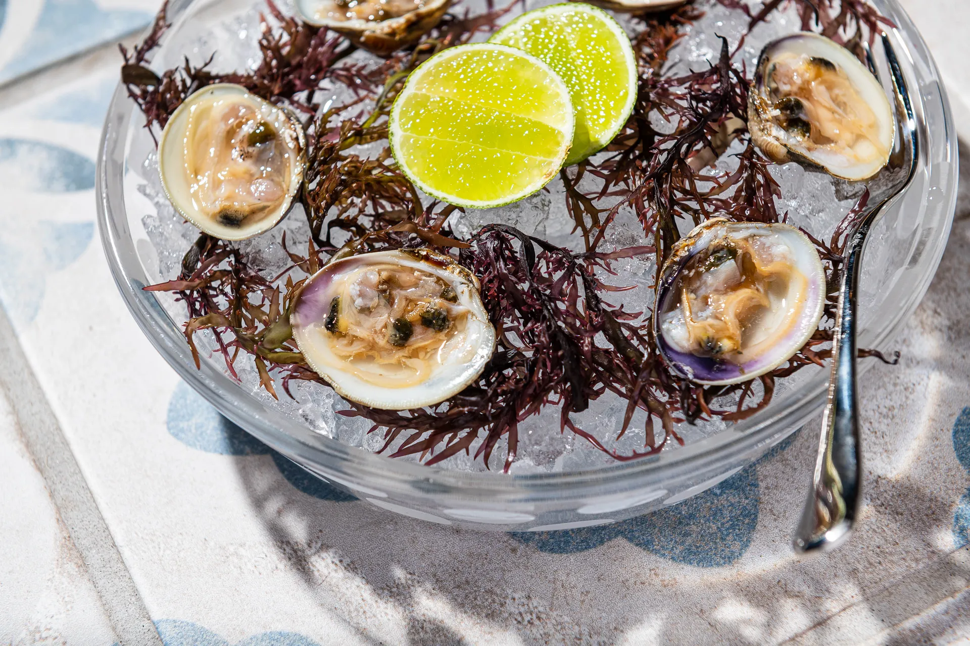 Press | Causa + Amazonia