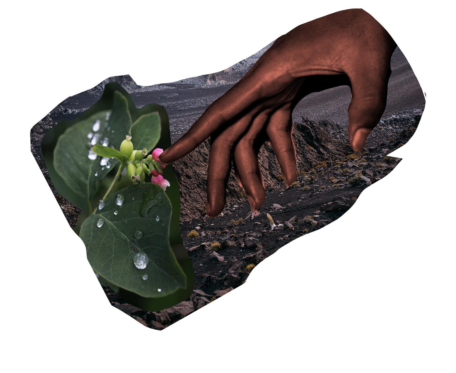 A SHOAL OF LOVERS LEADS ME HOME – A Short Story by Ama Josephine Budge